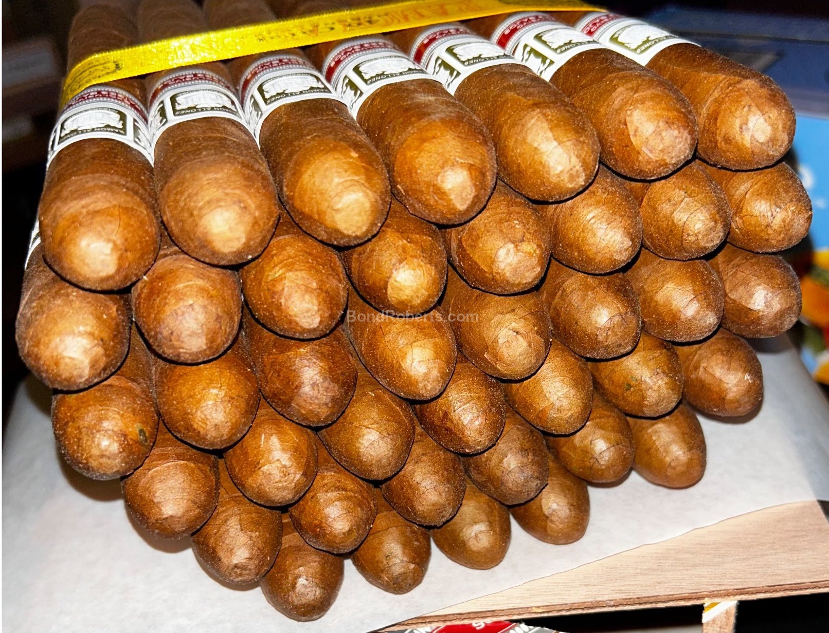 Ramón Allones 40 Carat Edición Regional Países Bajos 2022 Numbered ...