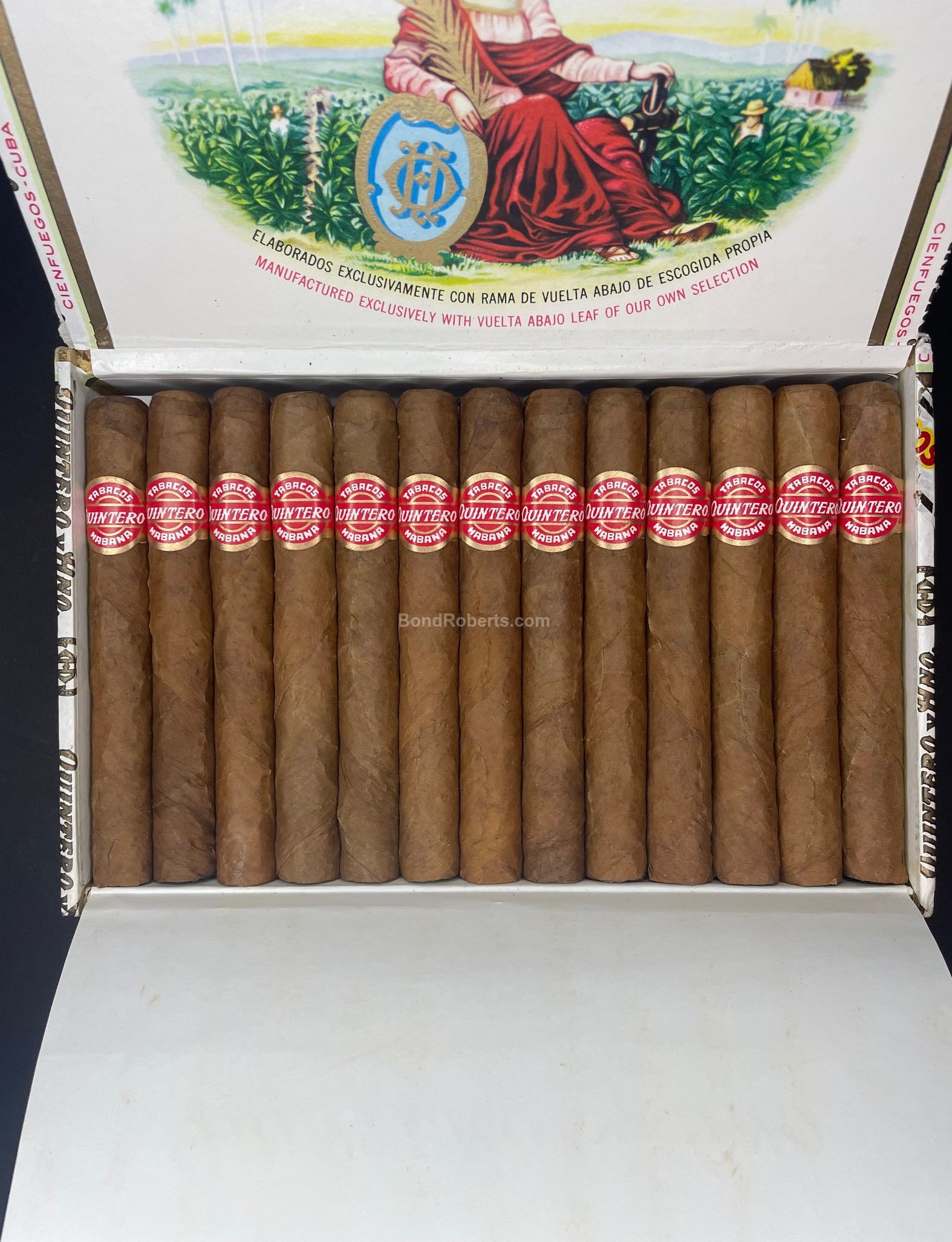 Quintero Londres Extra 2015 Dress Box of 25 cigars 22422