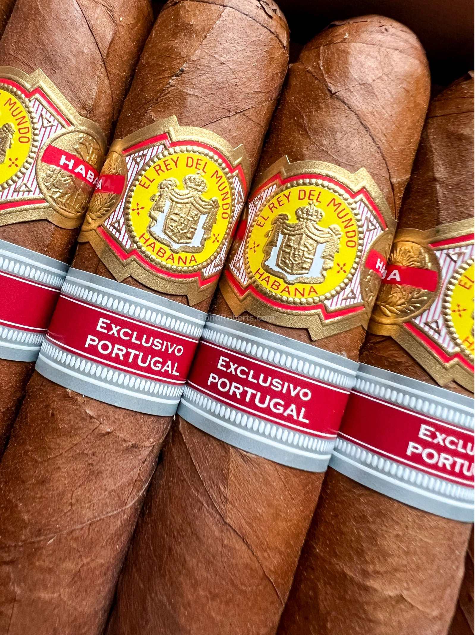 El Rey del Mundo Templários Edición Regional Portugal 2022 Numbered ...