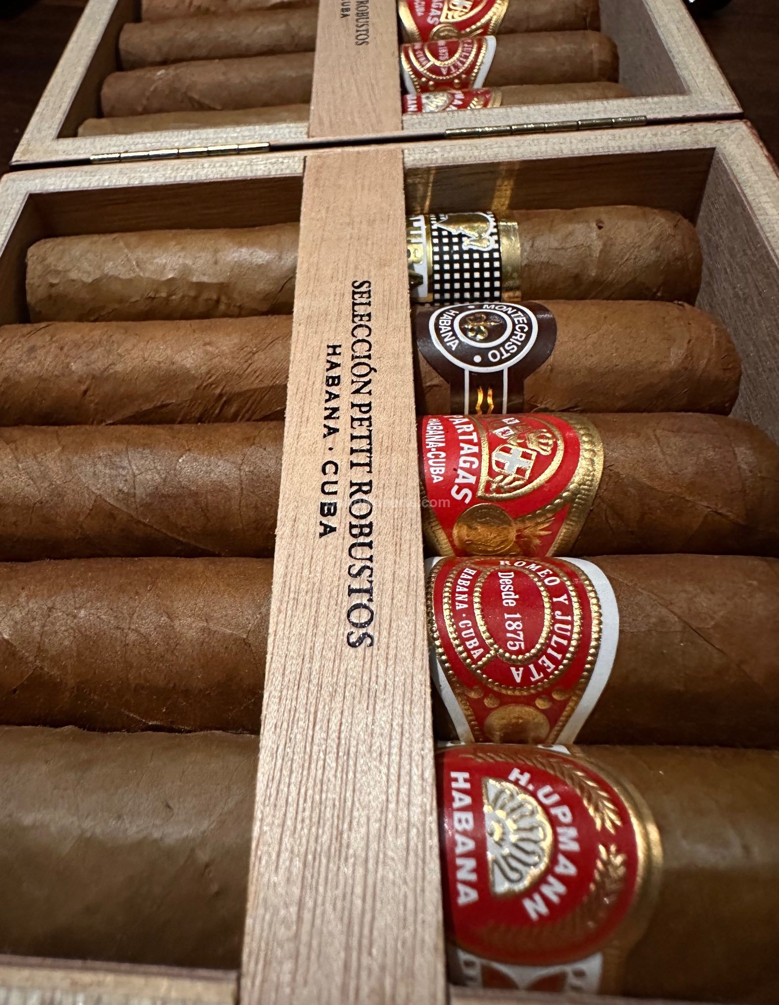 Habanos Petit Robustos Habanos Selection Release 2018 Selection box of ...