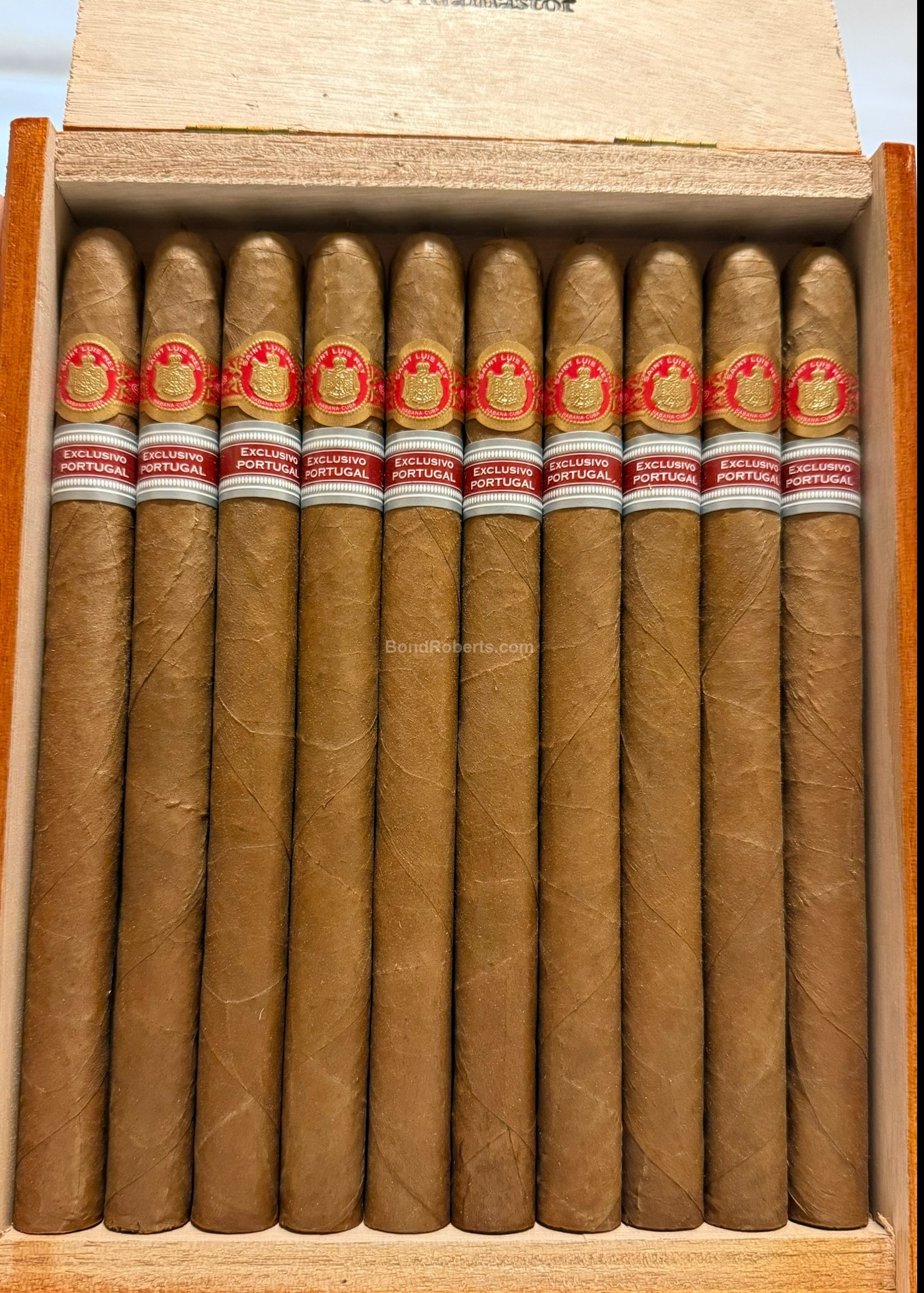 Saint Luis Rey Adamastor Edición Regional Portugal 2025 Numbered ...