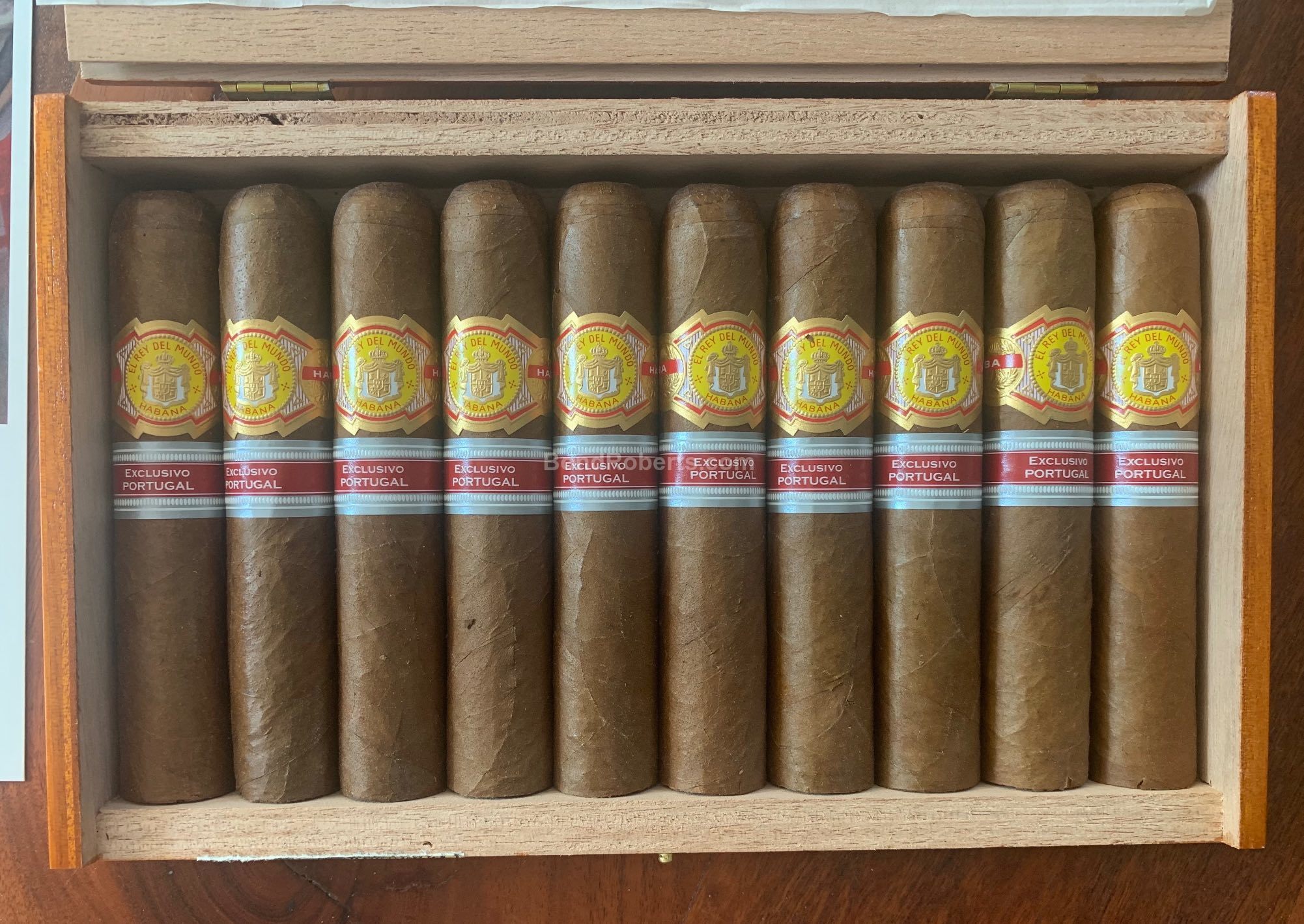 El Rey del Mundo Templários Edición Regional Portugal 2022 Numbered ...