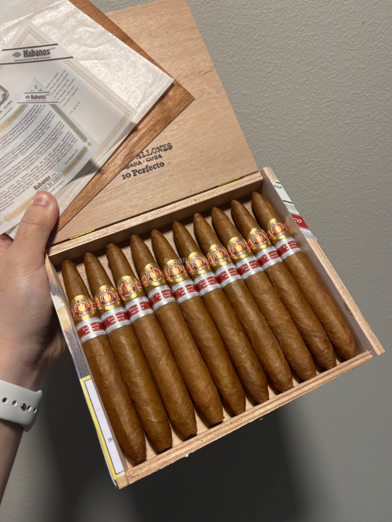 Ramón Allones Perfectos Edición Regional Mexico 2022 Numbered Semi ...