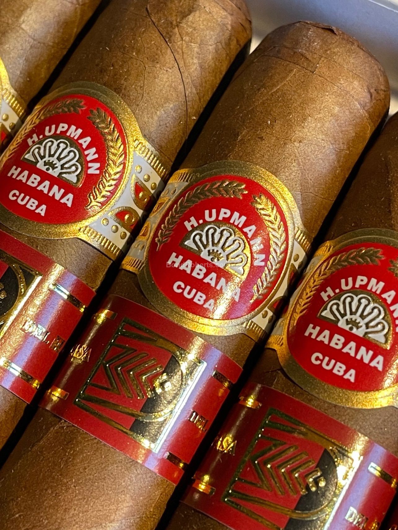 H. Upmann Royal Robusto LCDH Exclusivo 2020 Dress Box of 10 cigars 18547
