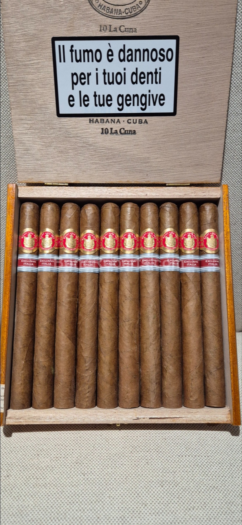 Saint Luis Rey La Cuna Edición Regional Italia 2024 Numbered varnished ...
