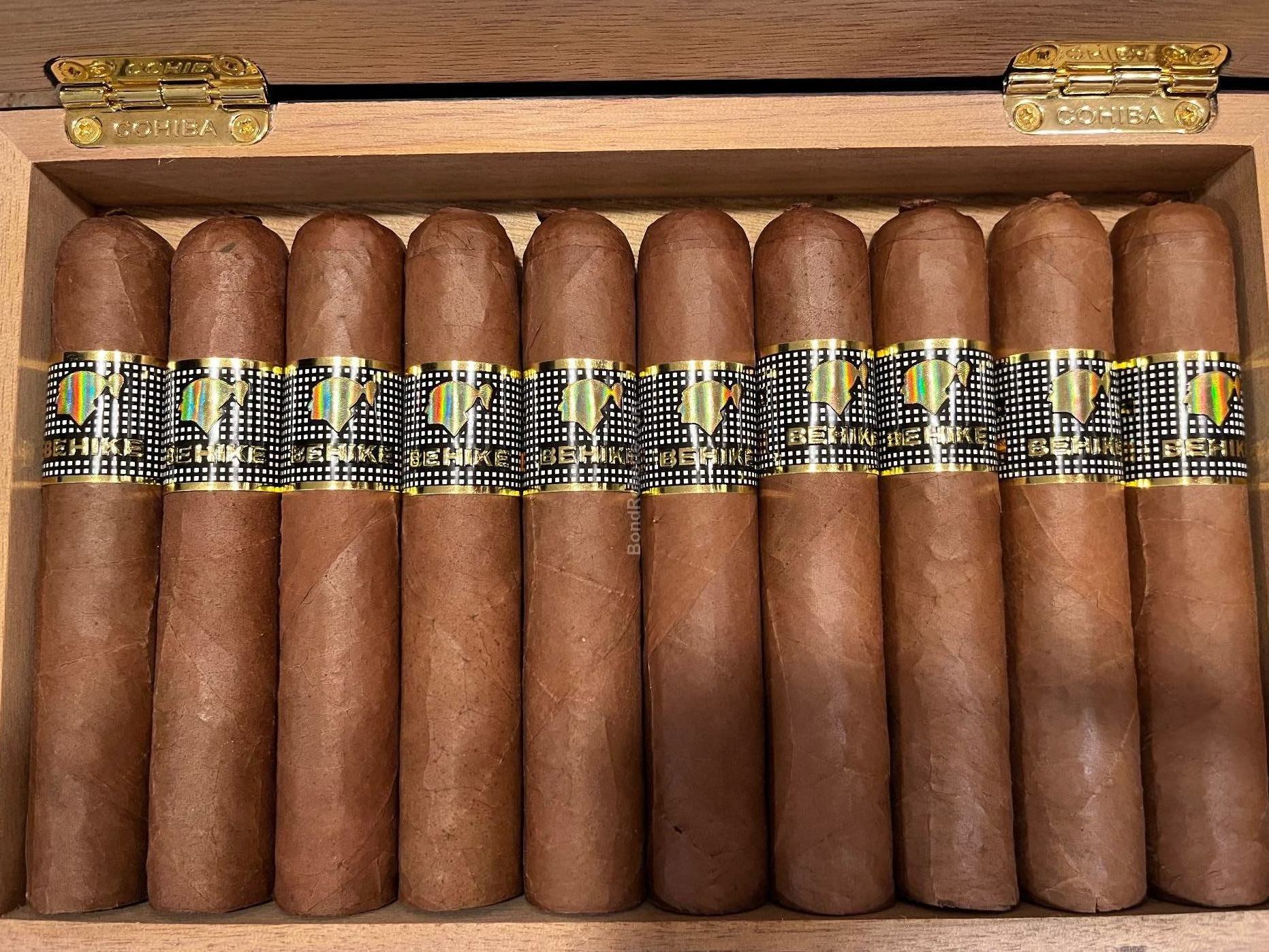 Cohiba BHK 52 2010 Black lacquered Boîte Nature Box of 10 cigars 15140