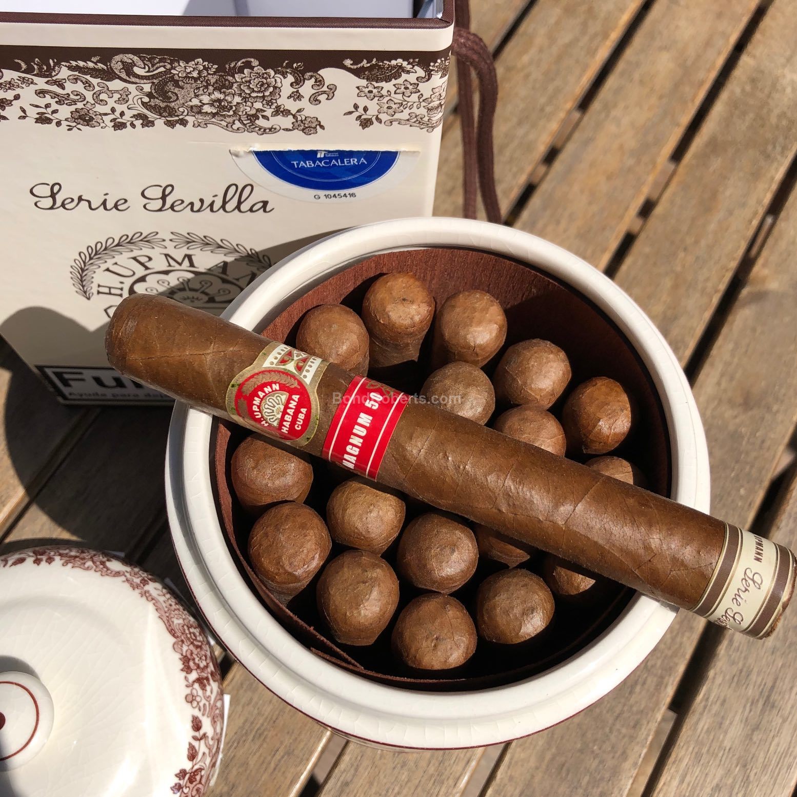 H. Upmann Magnum 50 Serie Sevilla Jar Ceramic Jar of 21 cigars 13200